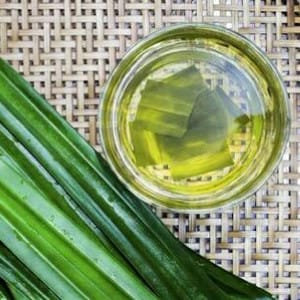 Minyak Pandan / Pandan Oil | Indo4ward